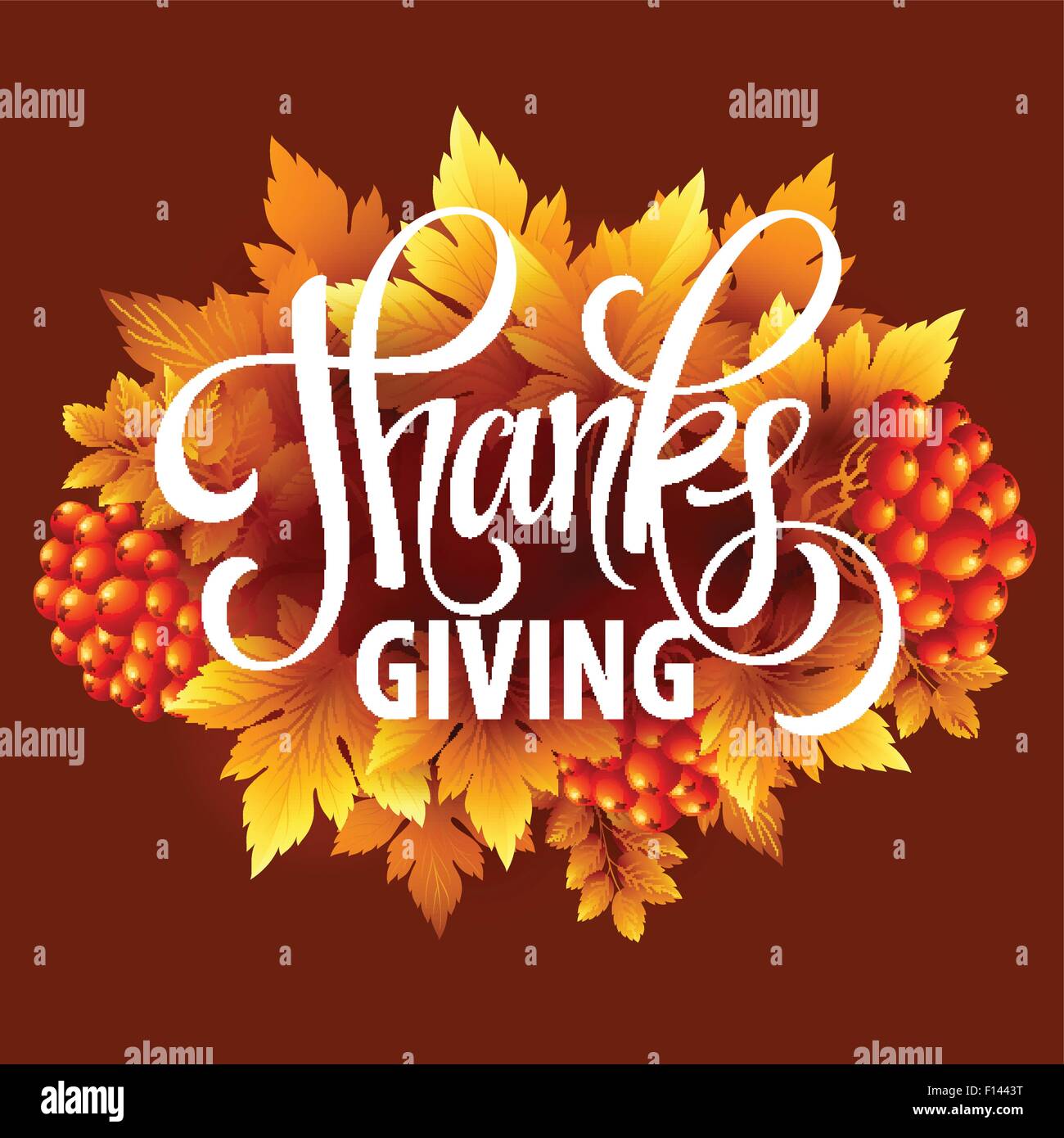 Happy Thanksgiving with text greeting and autumn leaves . Vector ...