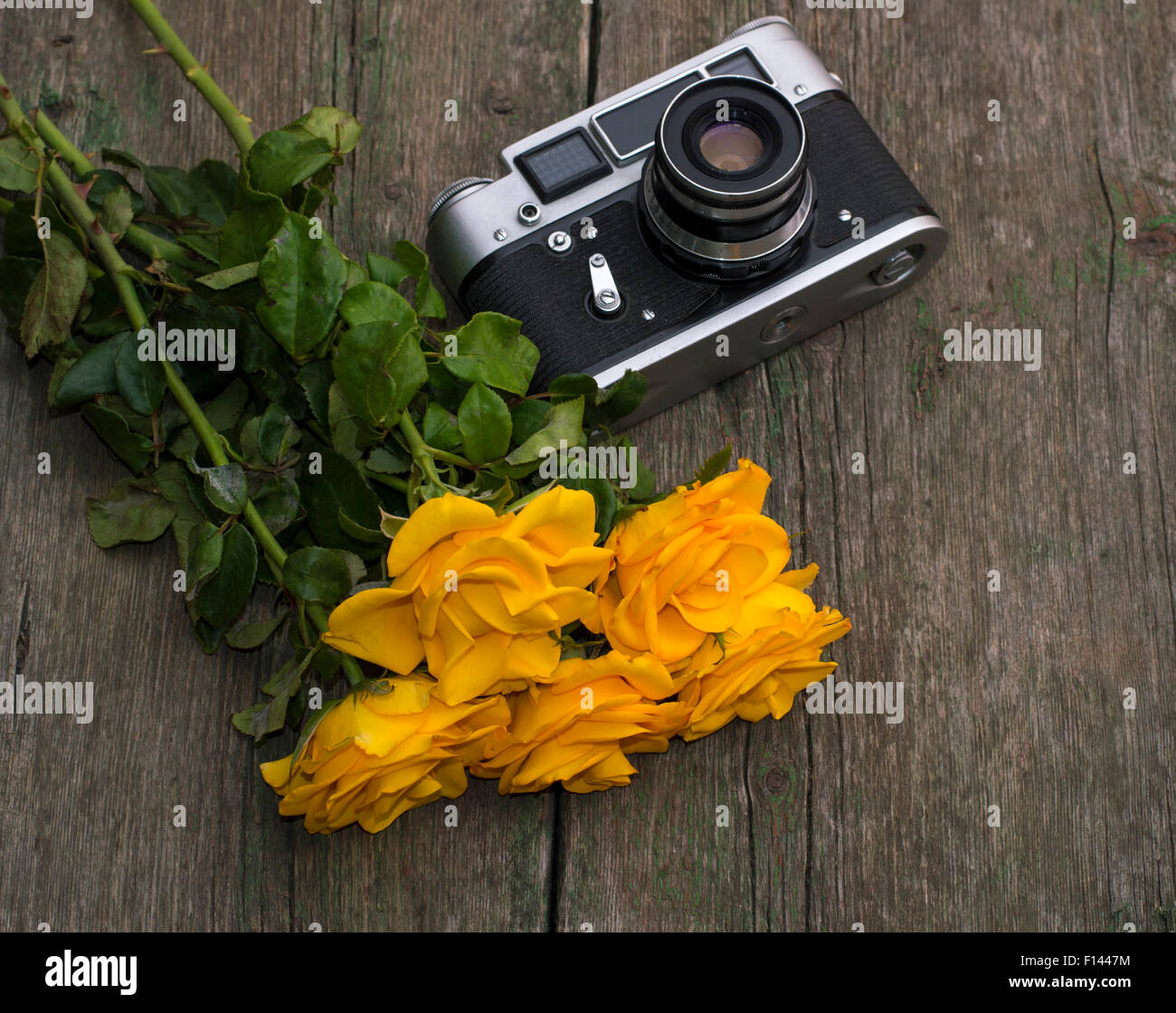 Old film camera bouquet yellow hi-res stock photography and images - Alamy