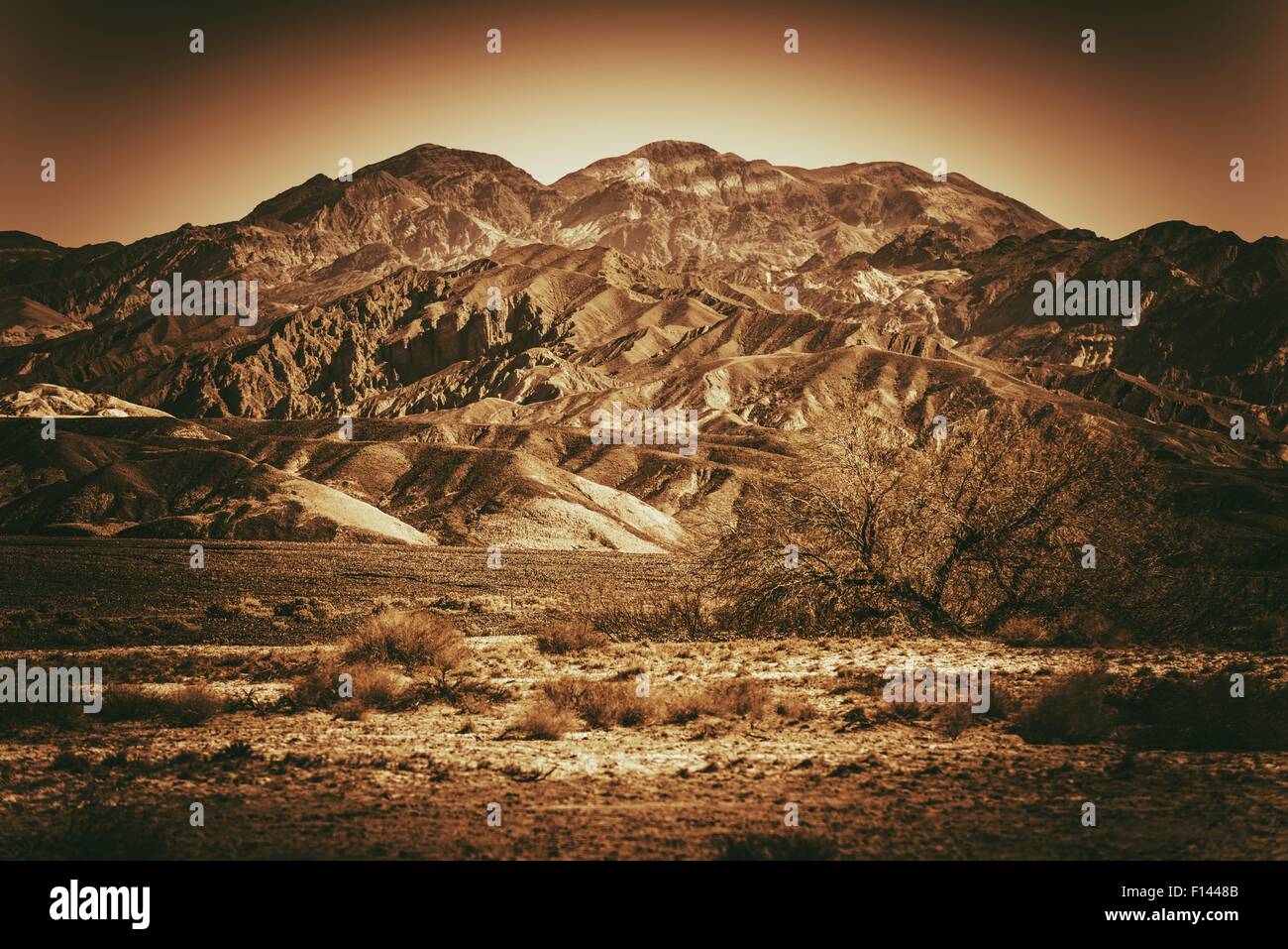 Inhospitable Desert Landscape in Death Valley California, United States ...