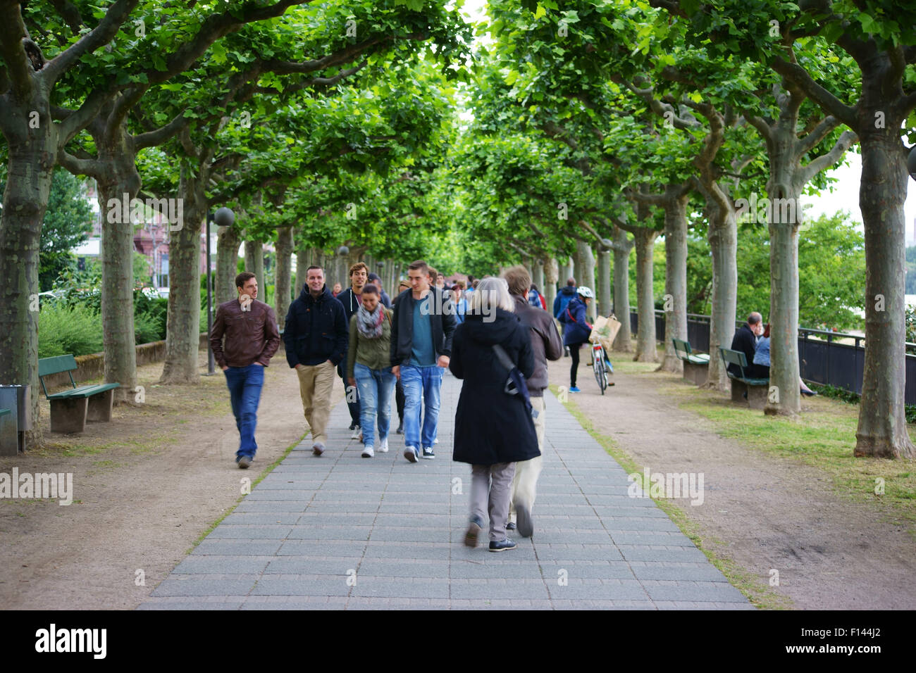 Promenade at river rhine hi-res stock photography and images - Alamy
