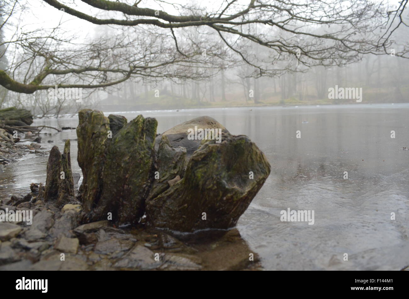 Yew tree tarn, Lake District England Stock Photo - Alamy
