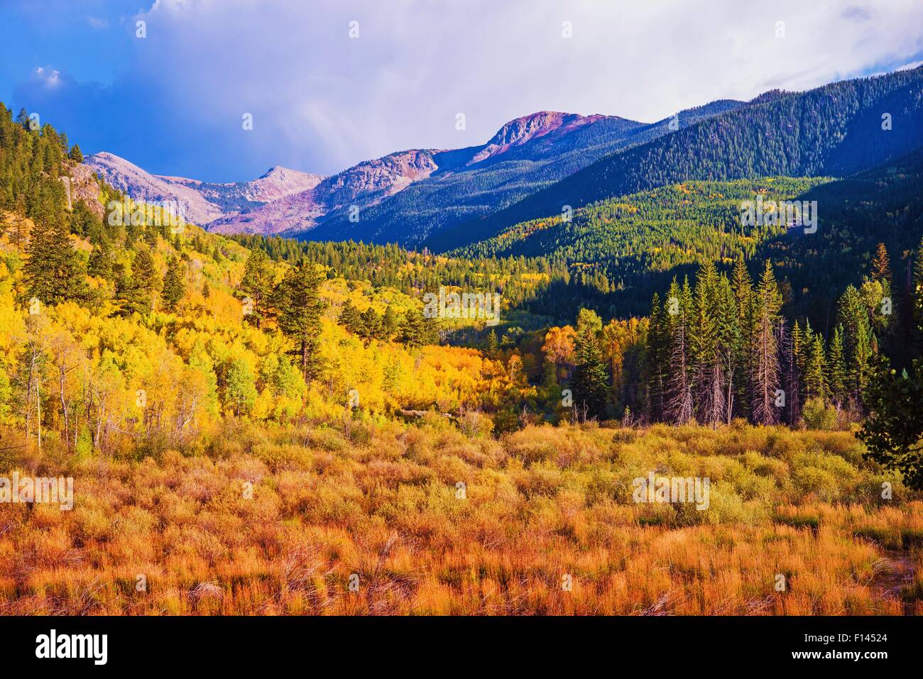 Scenic Aspen Lanscape. Colorado Rocky Mountains. Aspen, Colorado ...