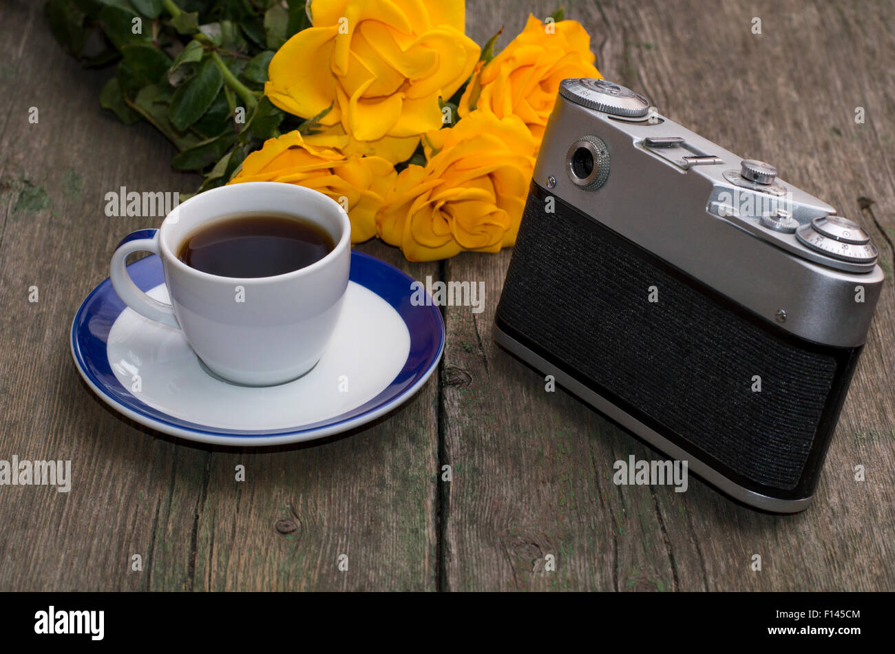 Roses camera hi-res stock photography and images - Alamy