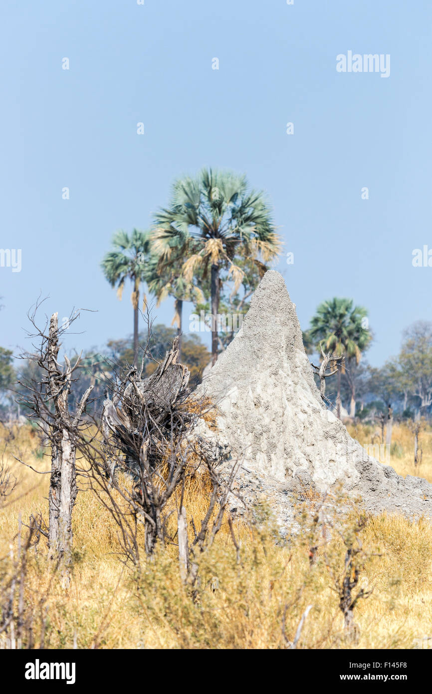 Conical mound hi-res stock photography and images - Alamy