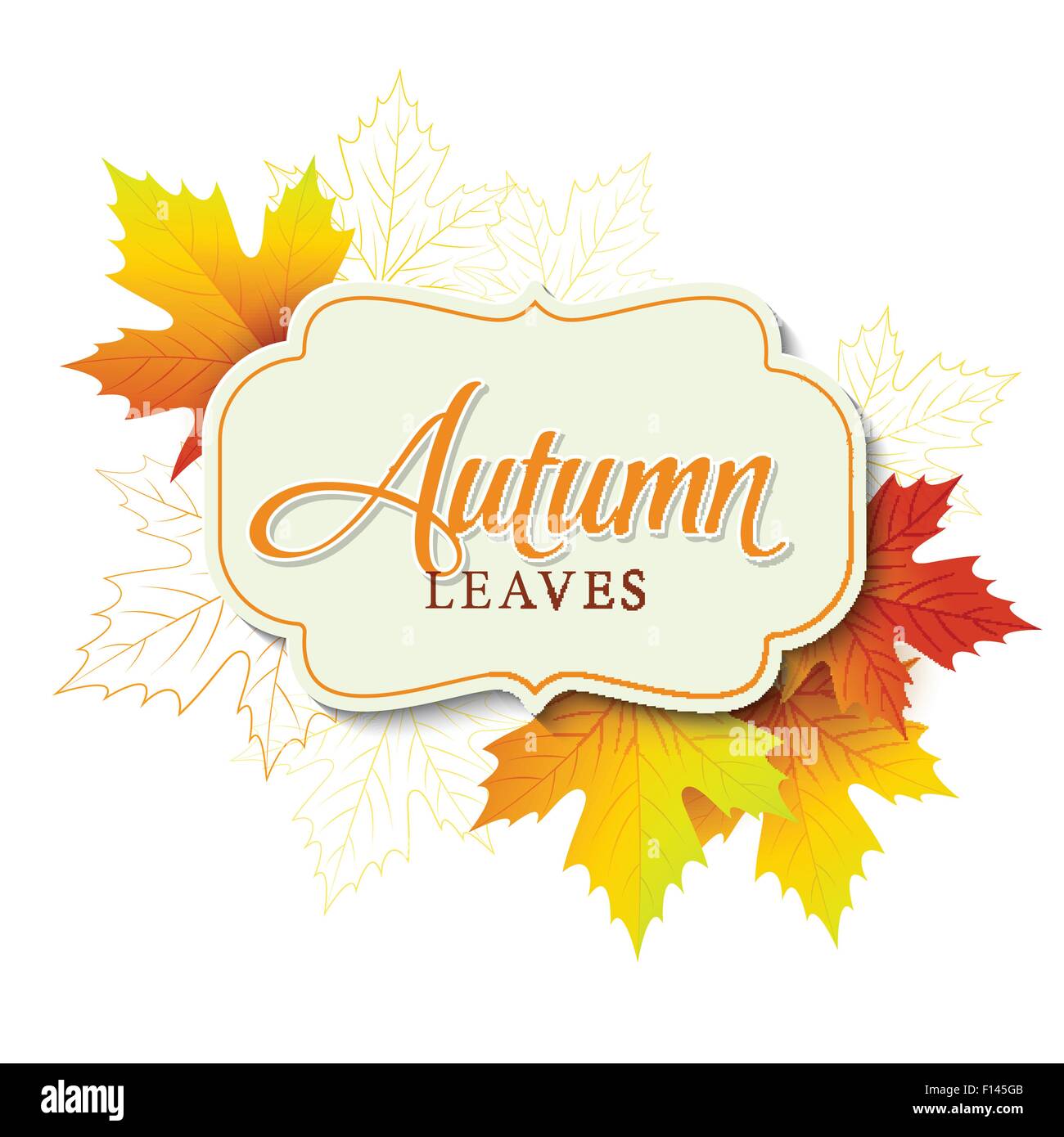 Autumn typographic. Fall leaf. Vector illustration Stock Vector Image ...