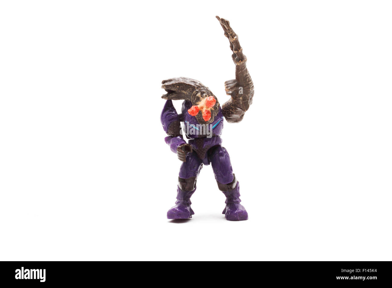 Flood Combat Form Stock Photo - Alamy