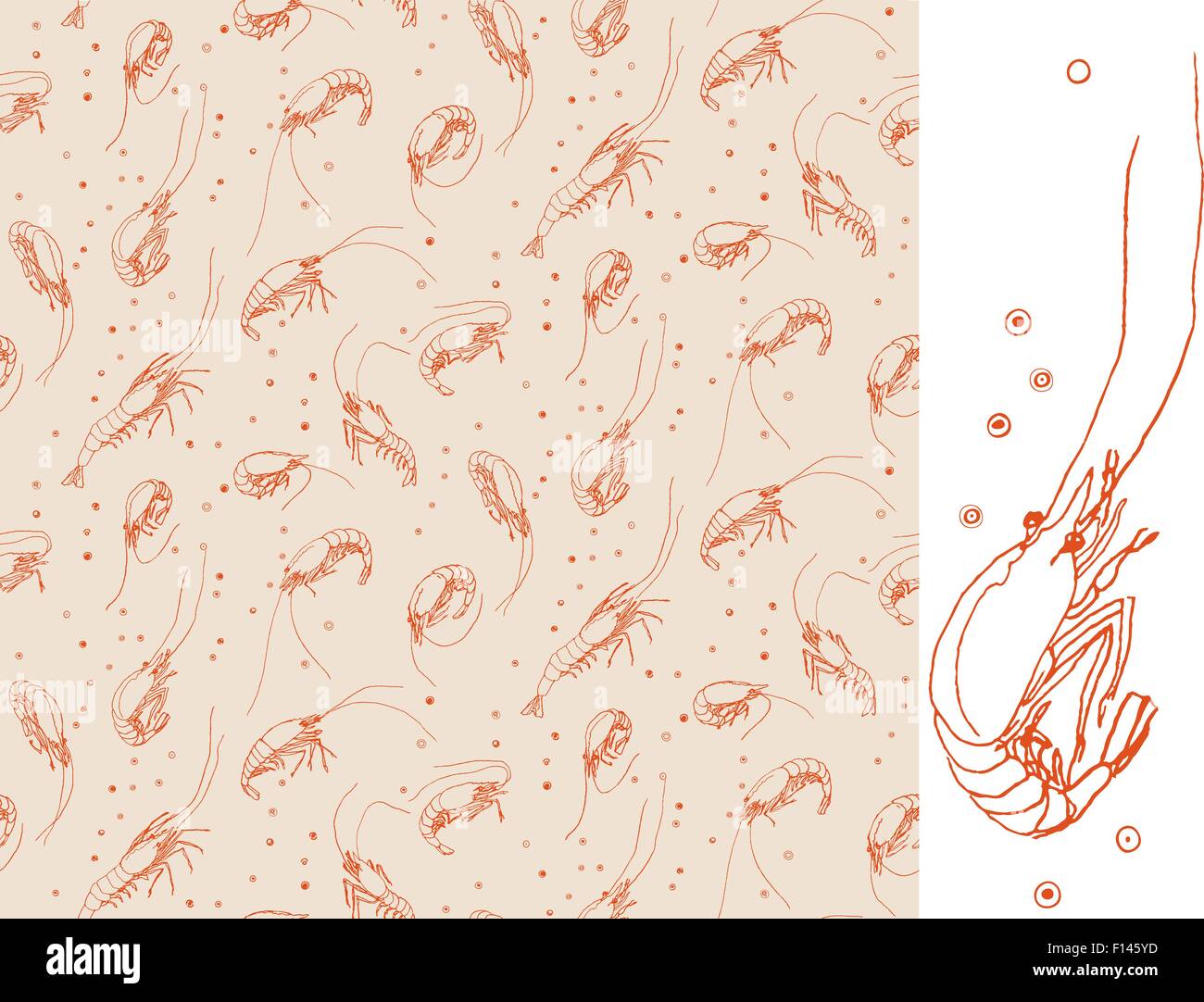 Sea shrimp vector vectors hi-res stock photography and images - Alamy