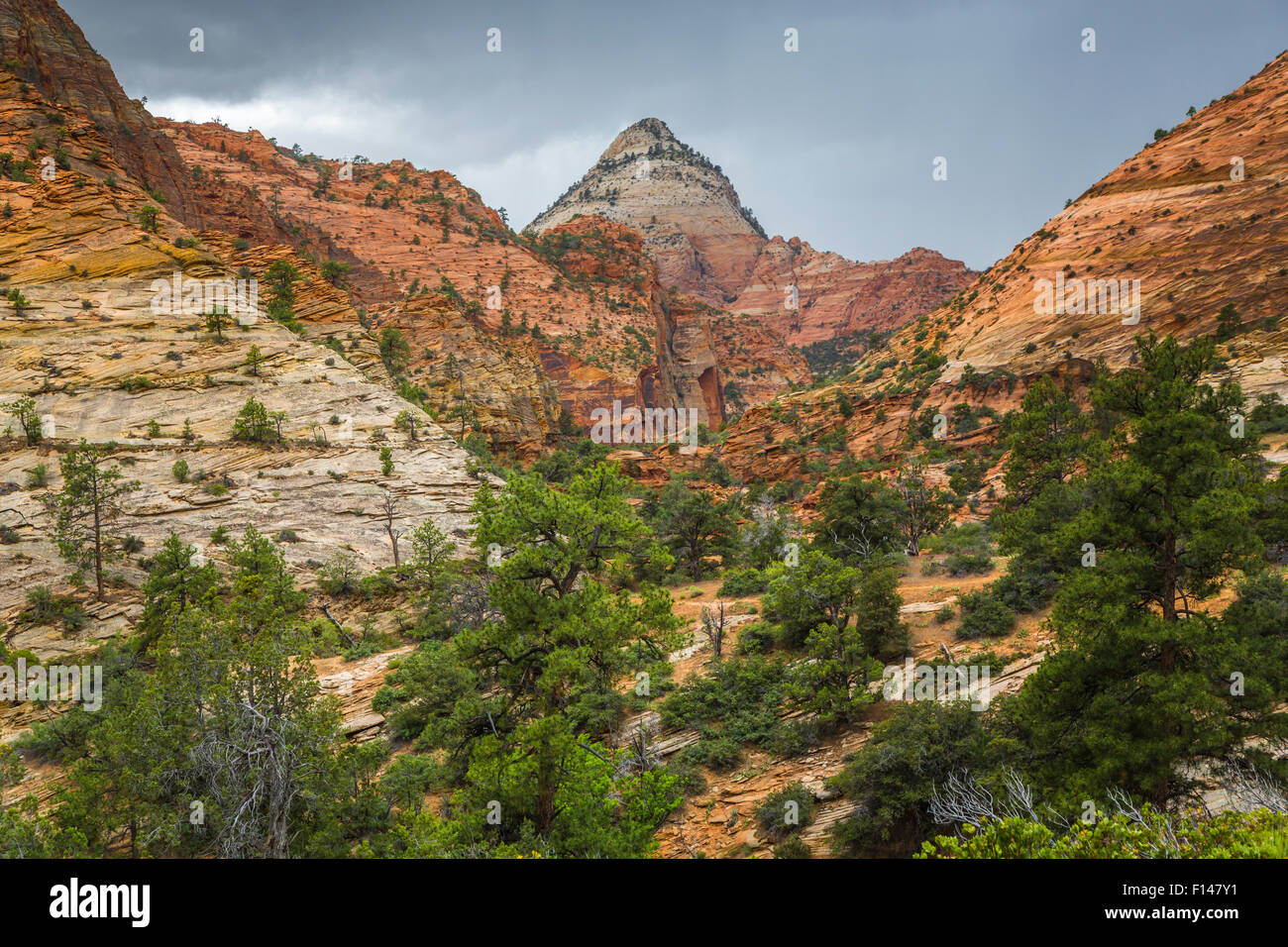 The rock formations, mountains, buttes and valleys of Zion National ...