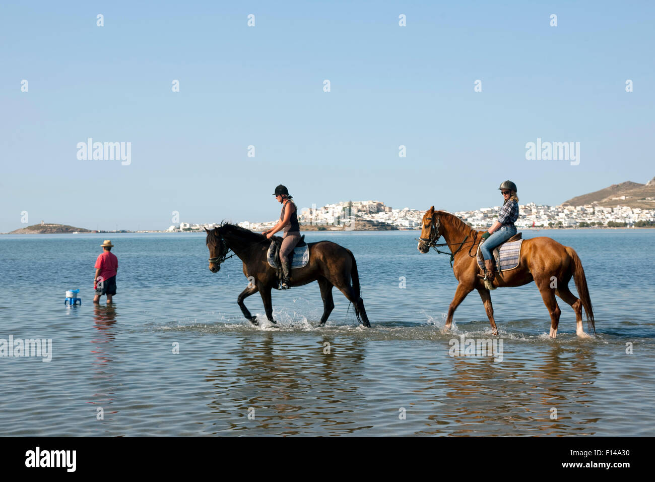 Pferd strand hintergrund hi-res stock photography and images - Alamy