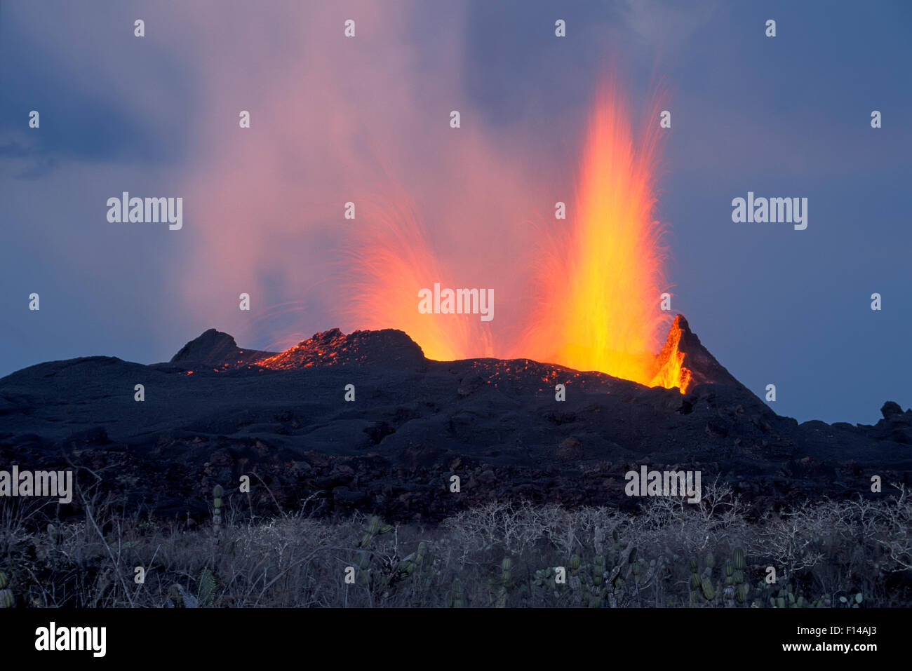 Spatter cone formation and lava fountaining from eruptive vent along ...