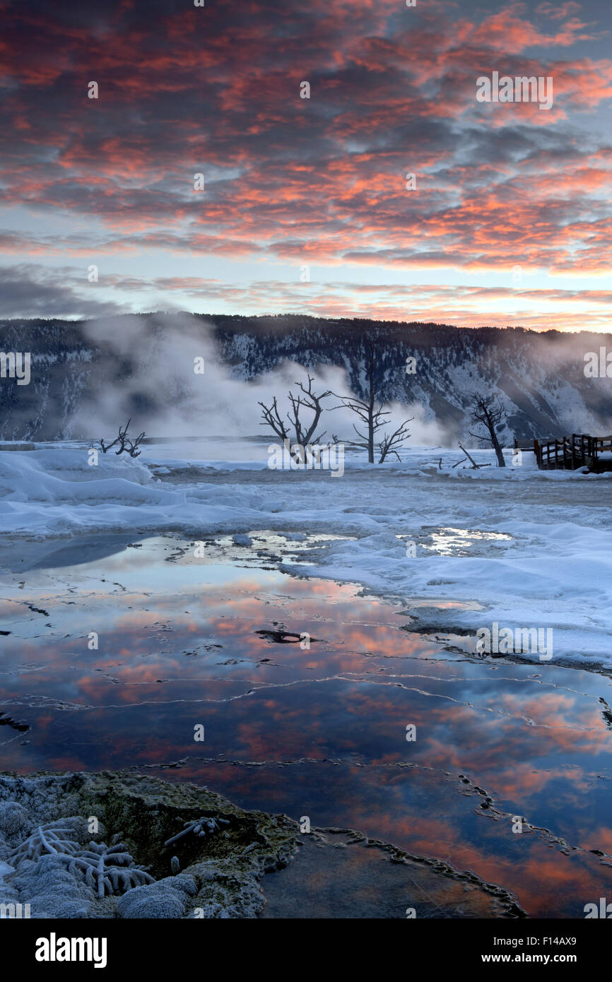 Early morning light on Mammoth Hot Springs, Upper Terraces Area ...