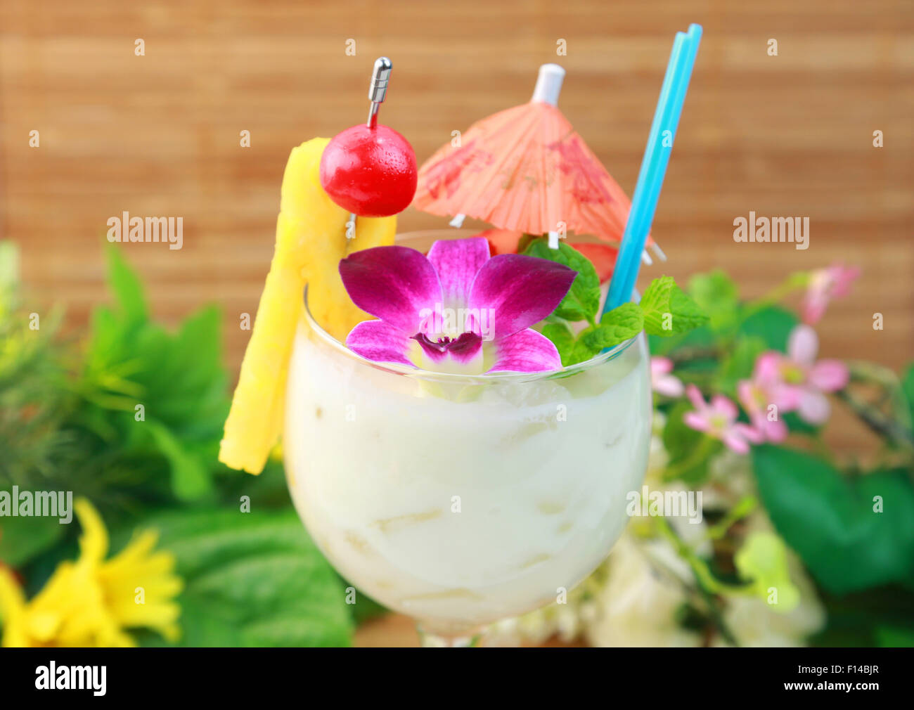When chi chi hi-res stock photography and images - Alamy