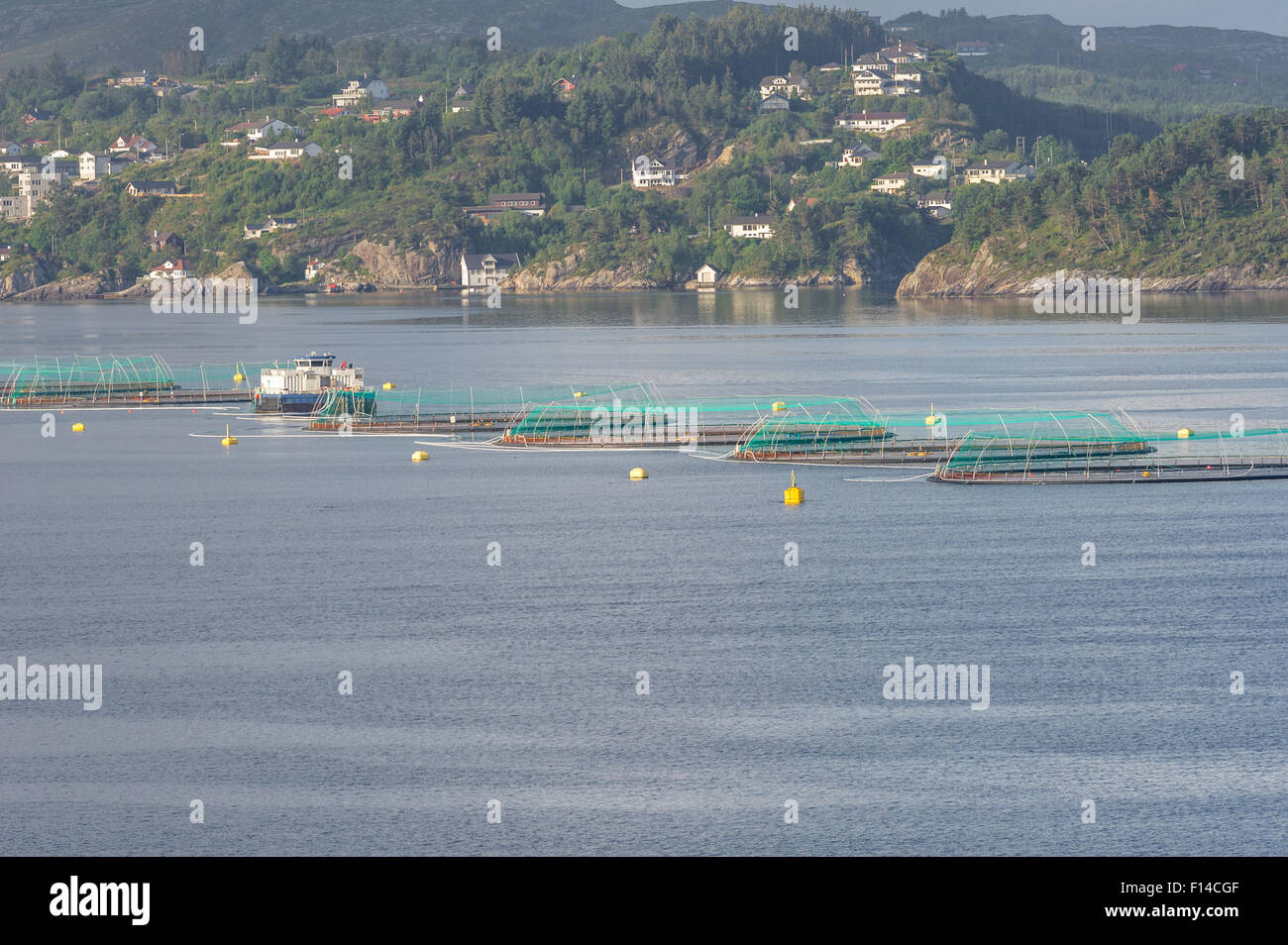 Norwegian fish farming or pisciculture facilities in the fjord, Bergen ...