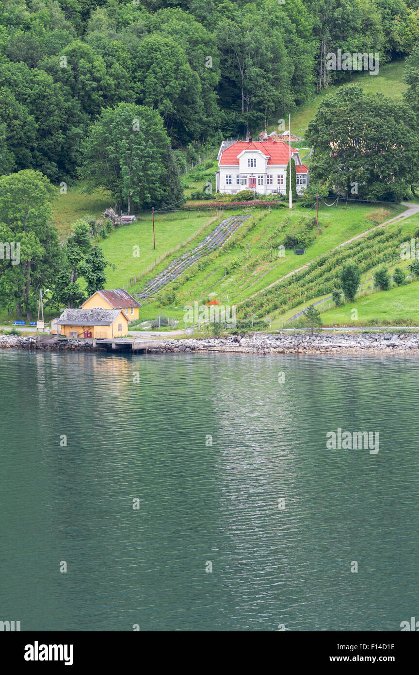 Norwegian farms and out-buildings on th banks of Geirangerfjord ...