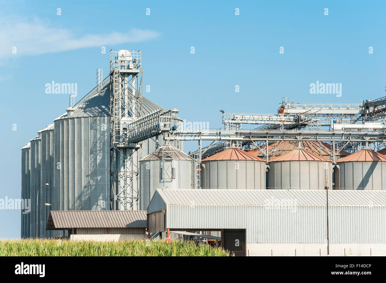 Storage facility and drying of cereals, silos and towers drying Stock ...
