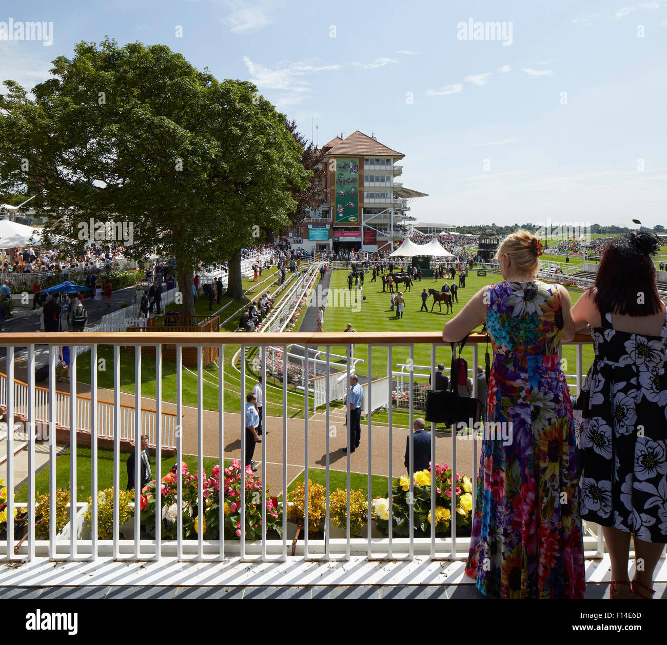 General view of the parade ring hi-res stock photography and images - Alamy