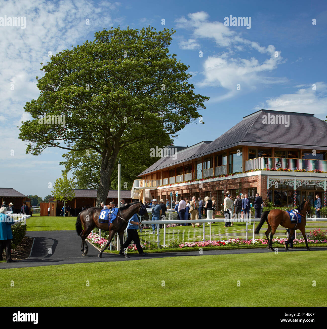 Phelan building hi-res stock photography and images - Alamy