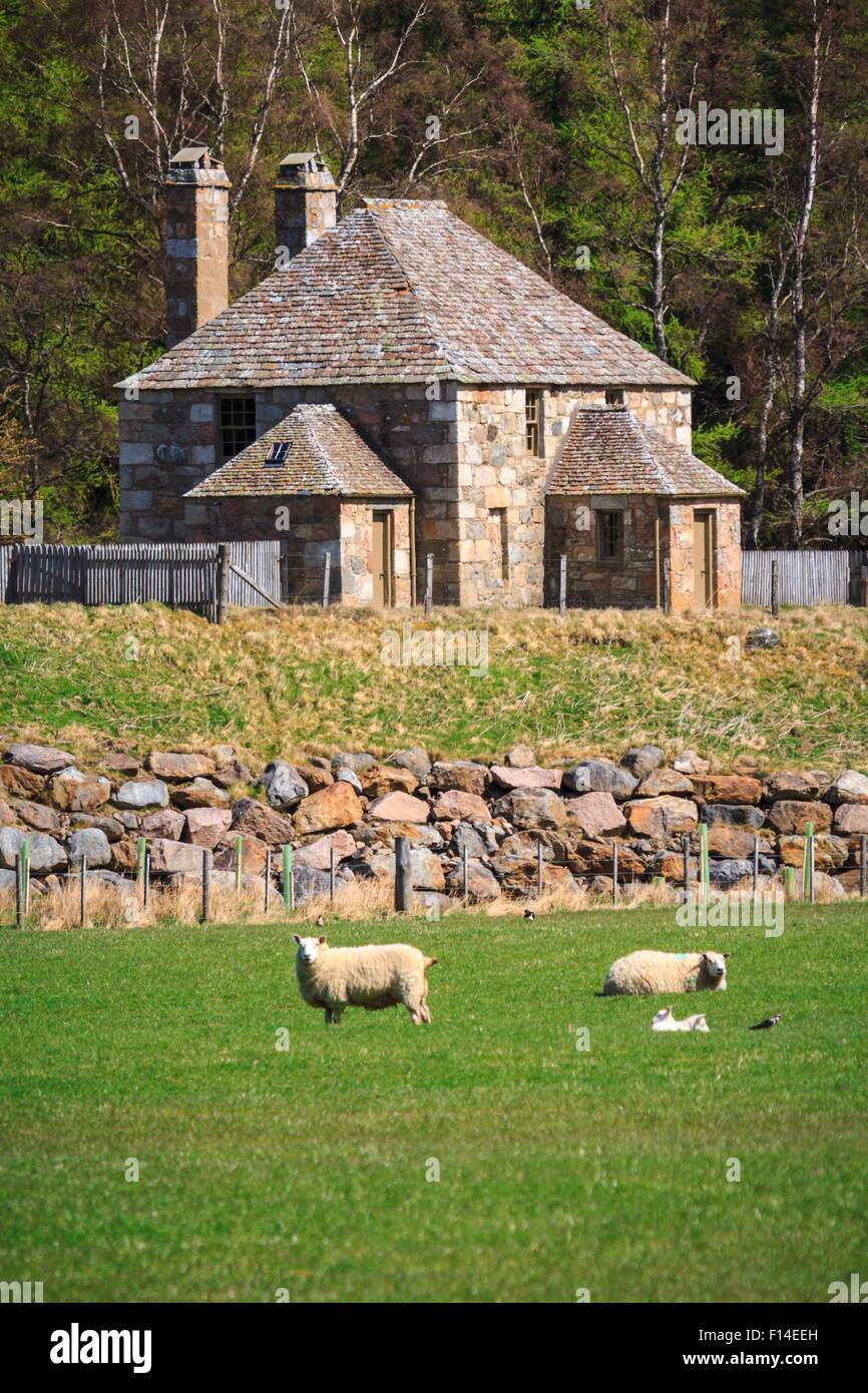 Scotland Highlands Landscape Stock Photo Alamy scotland-highlands-landscape-stock-photo-alamy