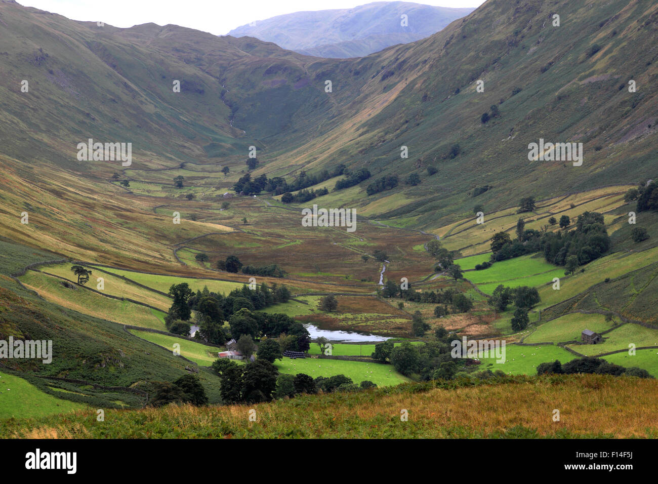 Summer, Martindale Common valley, Lake District National Park, Cumbria ...