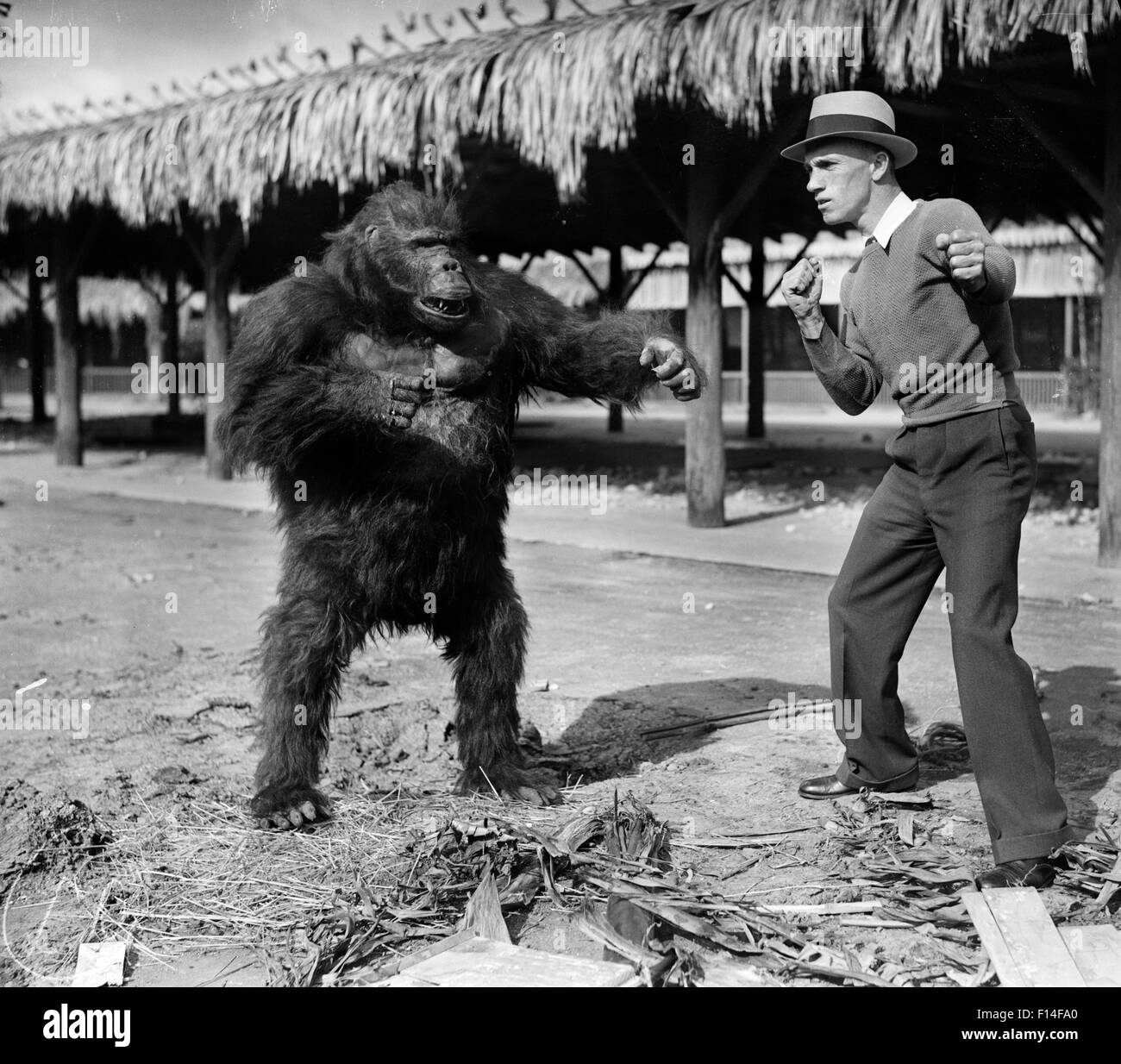 Ape to man hi-res stock photography and images - Alamy