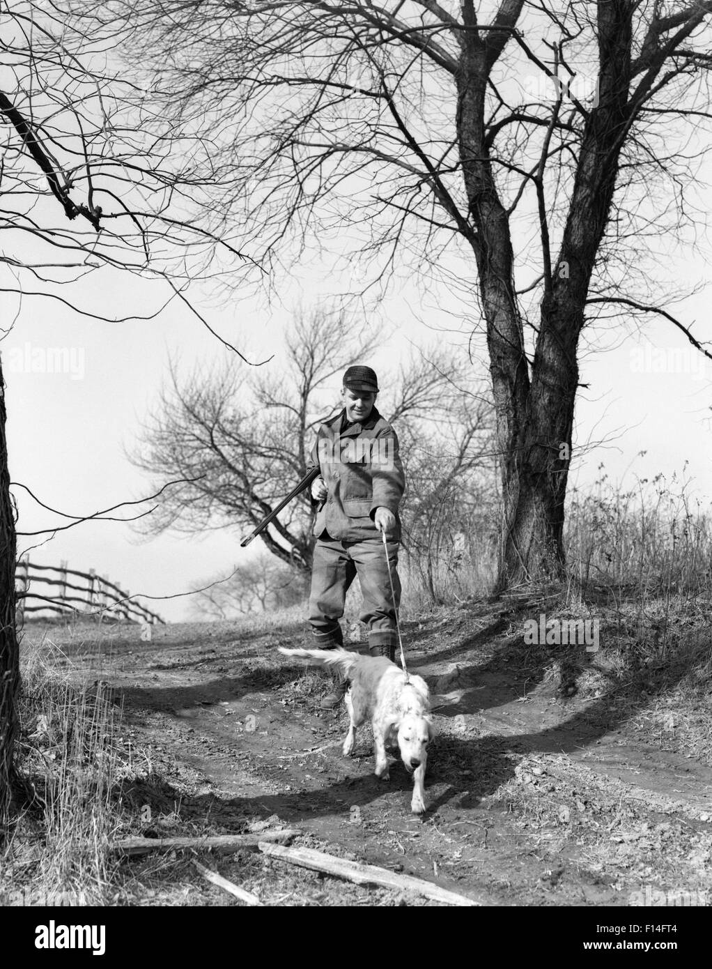 Setter Black and White Stock Photos & Images - Alamy