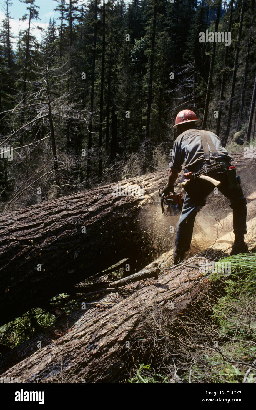 Old timber workers hi-res stock photography and images - Alamy