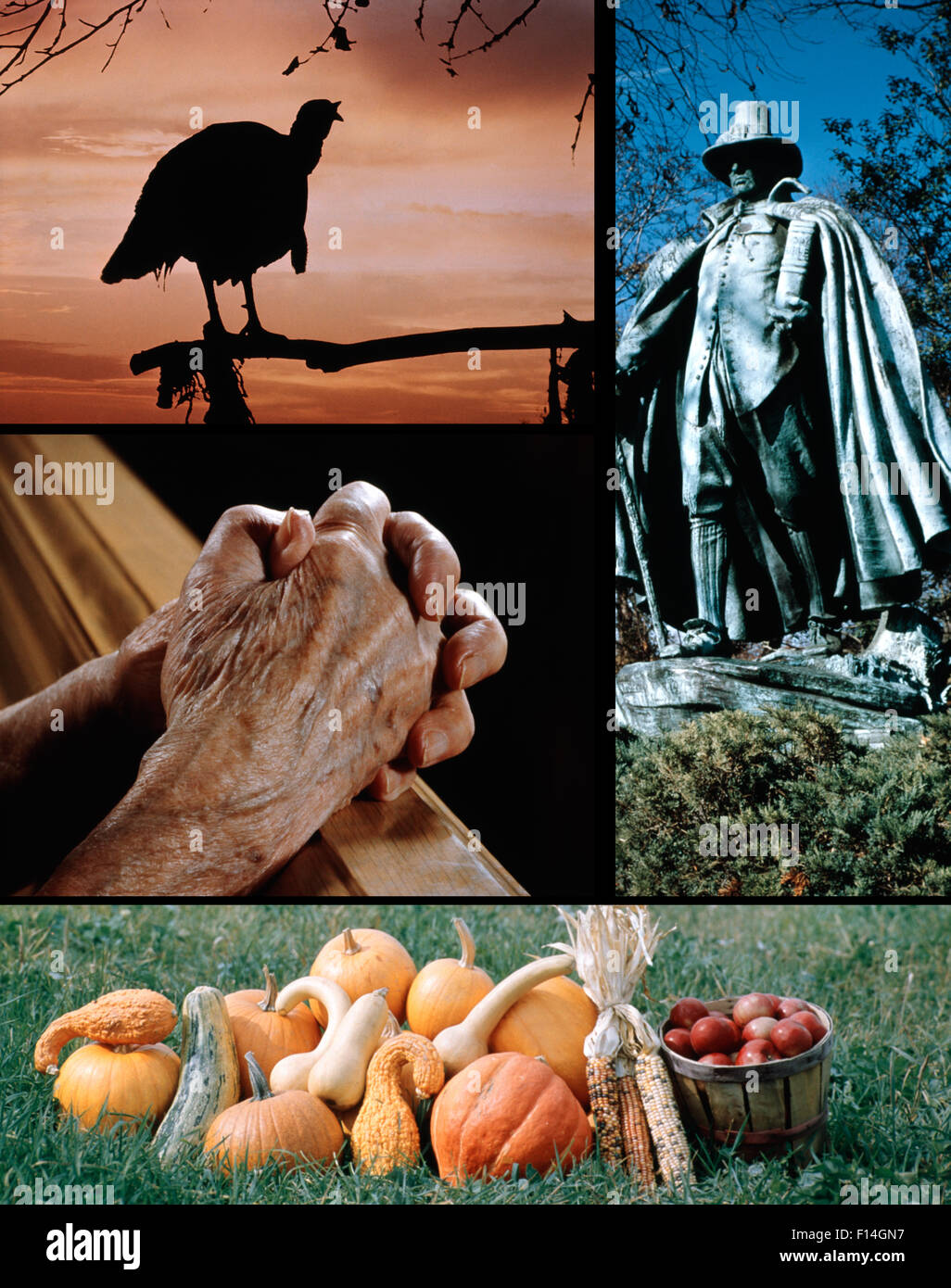 THANKSGIVING MONTAGE TURKEY HANDS PRAYER PUMPKINS GOURDS PILGRIM STATUE ...