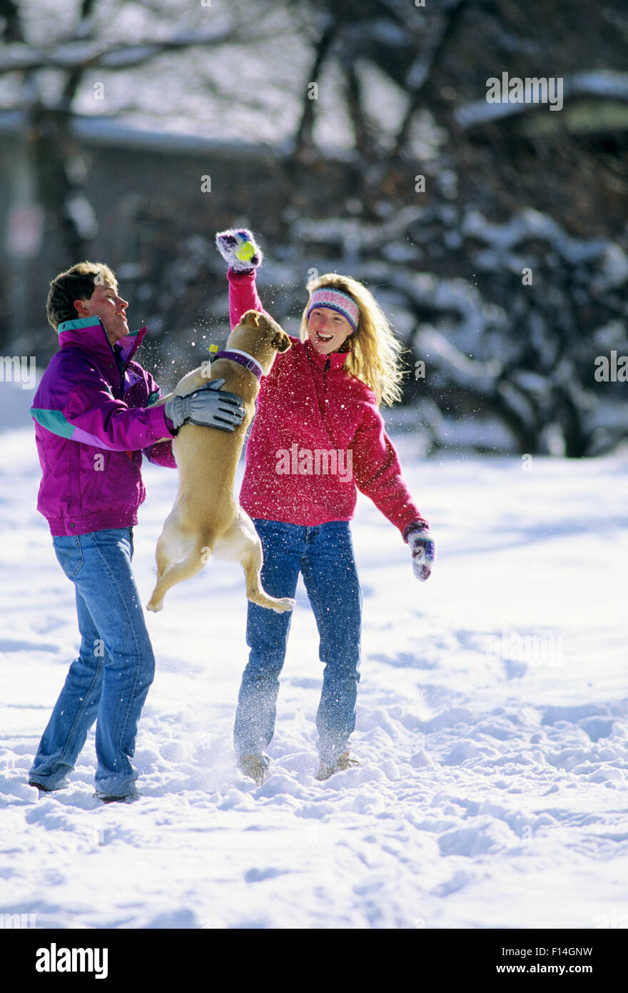 Two dogs jumping man hi-res stock photography and images - Alamy
