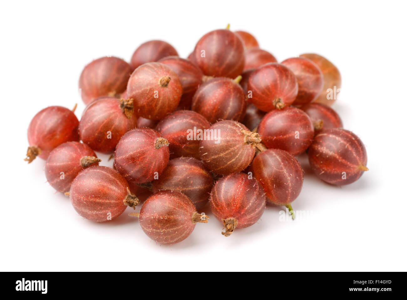 Gooseberry hi-res stock photography and images - Alamy