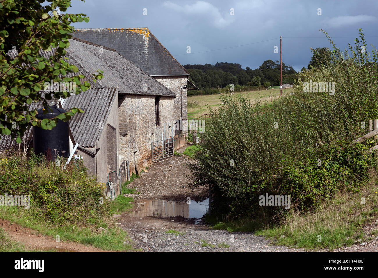 barns and farm buildings near totnes,devon.A barn is an agricultural ...