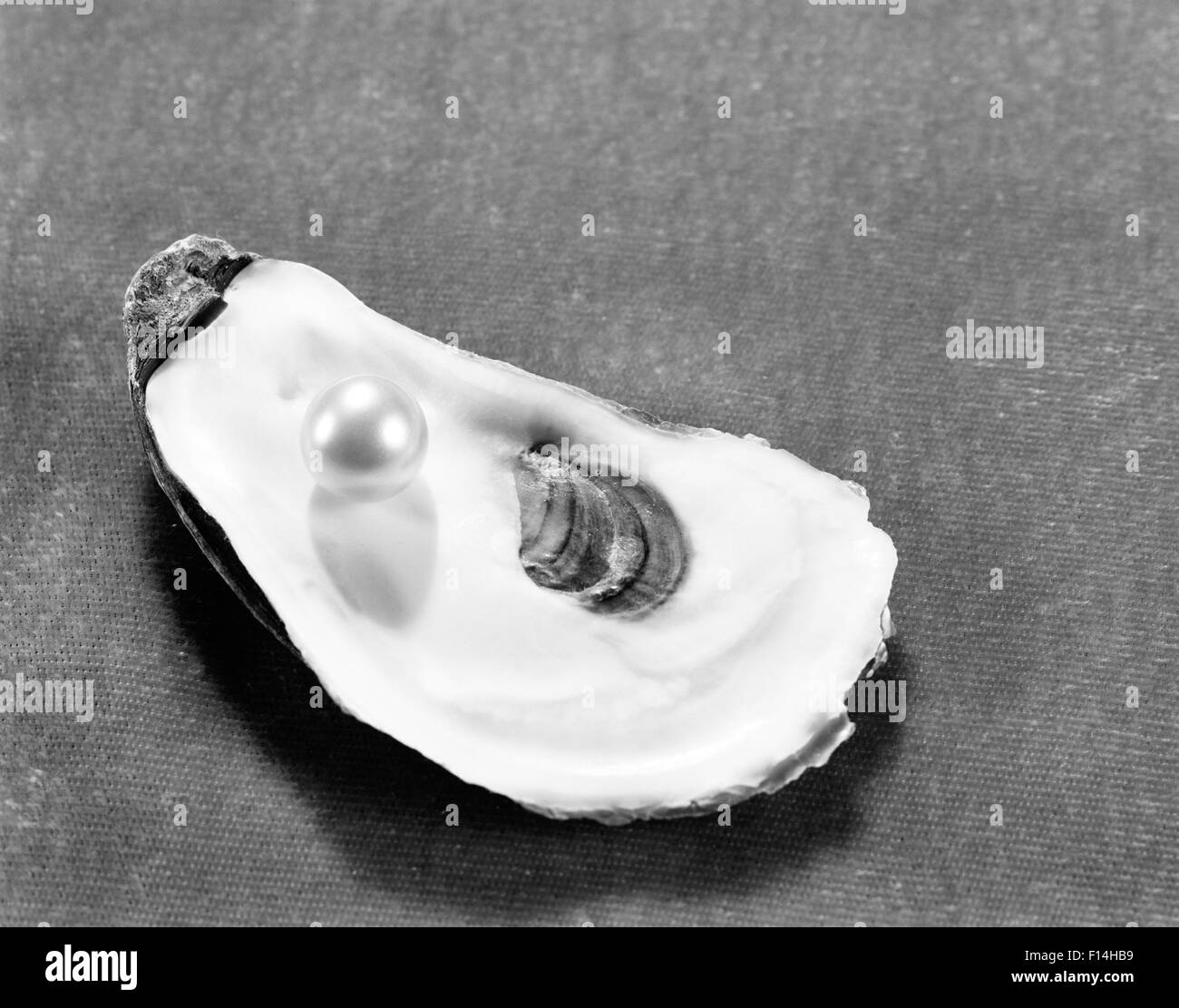 Oyster and pearl Black and White Stock Photos & Images - Alamy