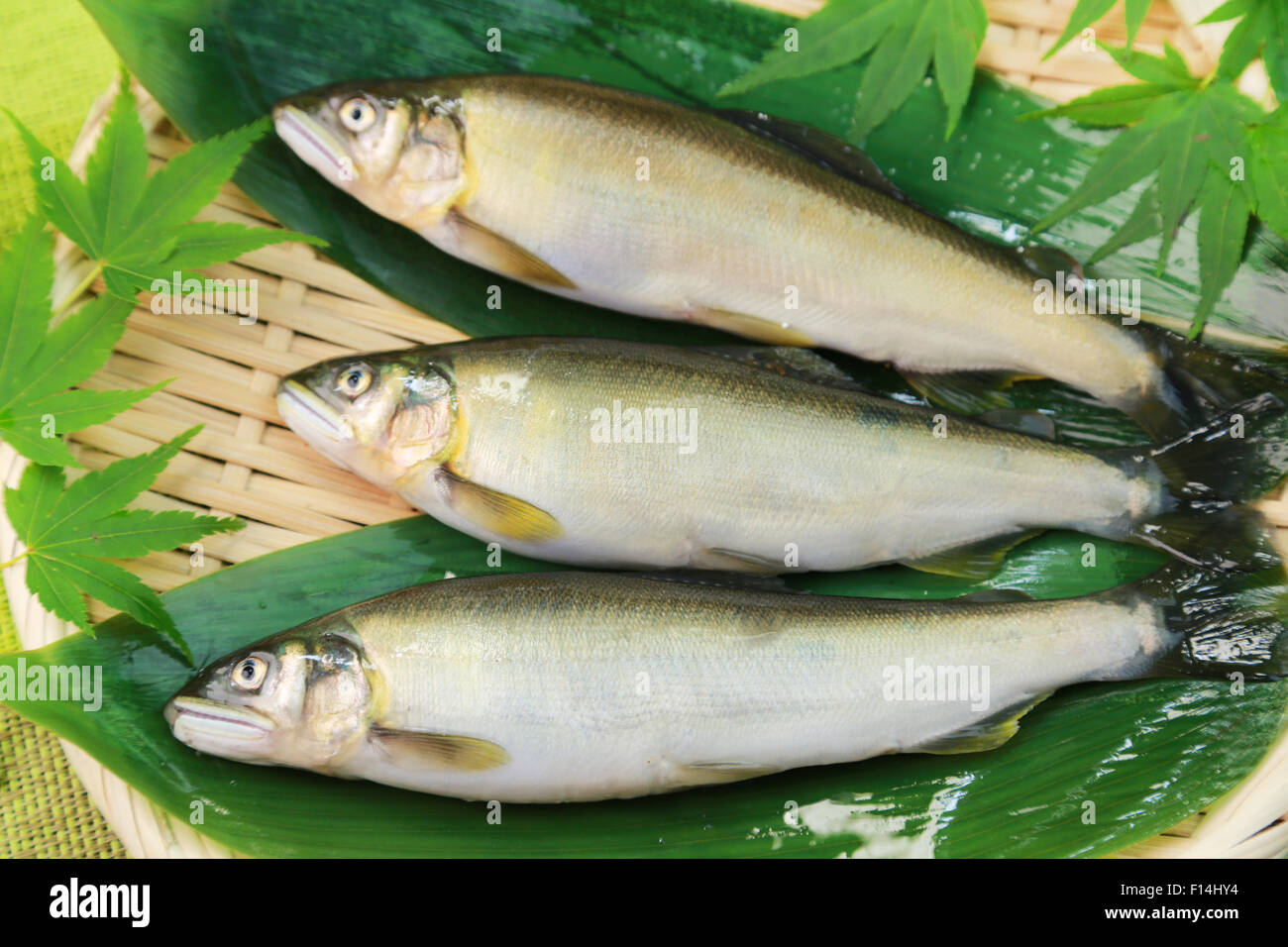 Ayu hi-res stock photography and images - Alamy