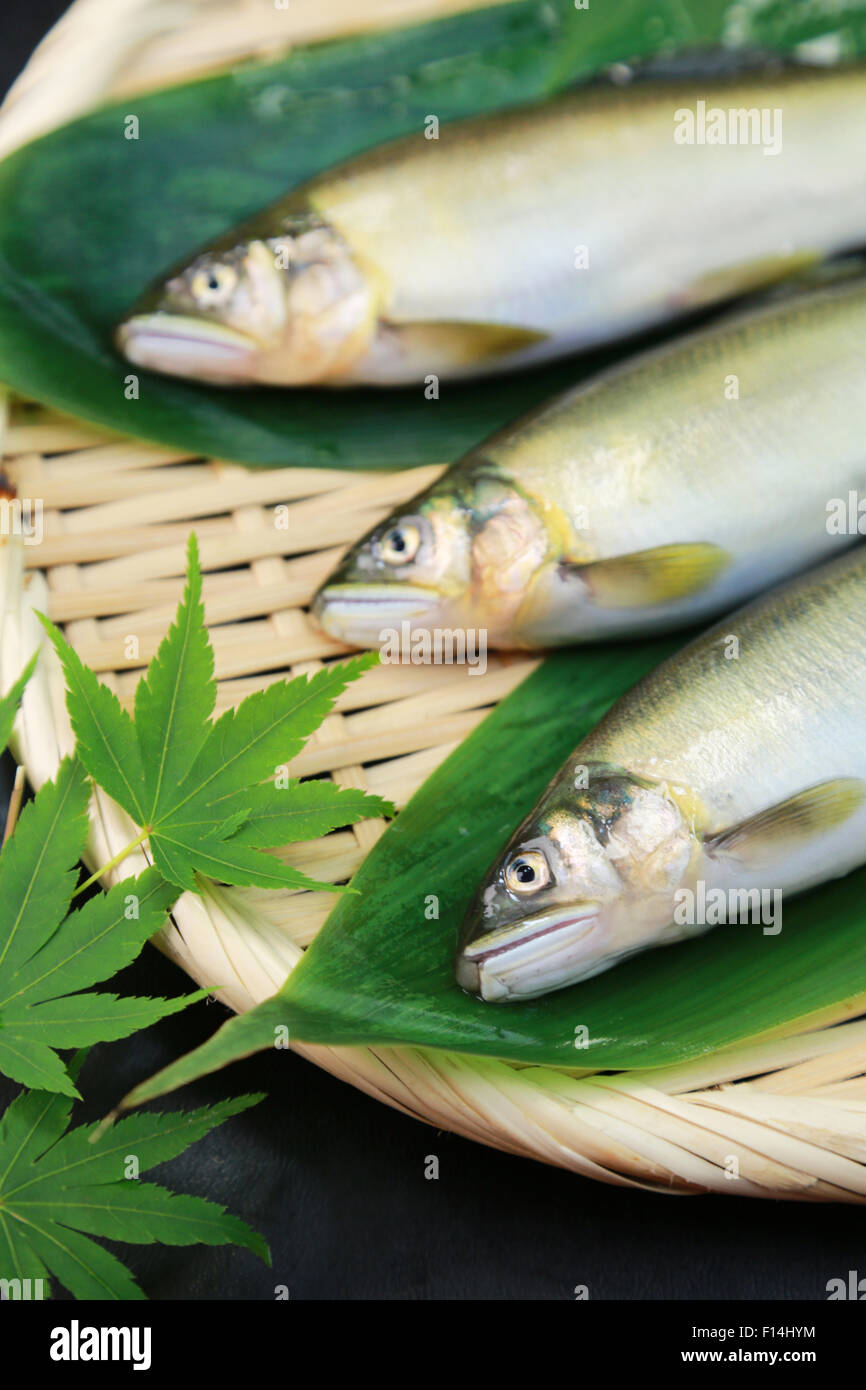 Ayu hi-res stock photography and images - Alamy