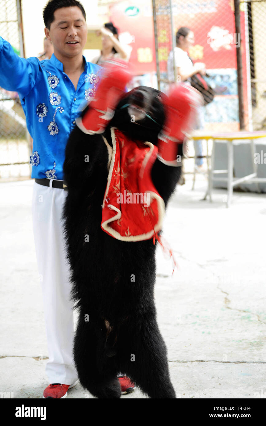 Boxing match cheering hi-res stock photography and images - Alamy