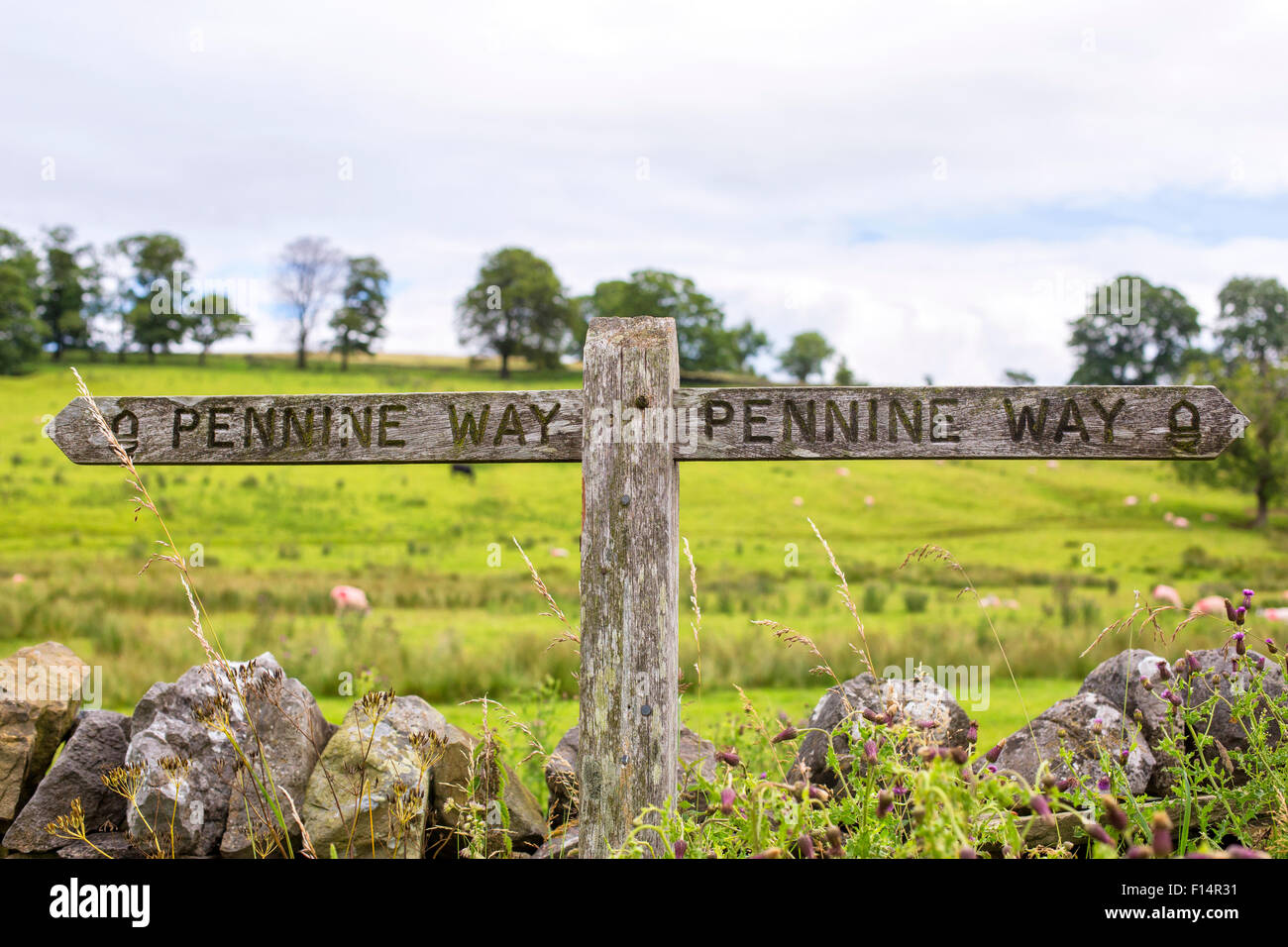 Pennine Way sign post, Yorkshire Stock Photo - Alamy