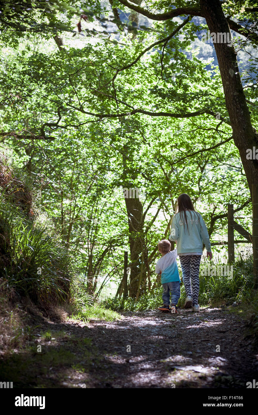siblings walk through steps bridge woods,duns ford,path,journey Stock ...