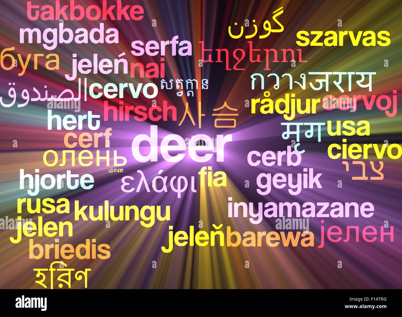 Background concept wordcloud multilanguage international many language ...