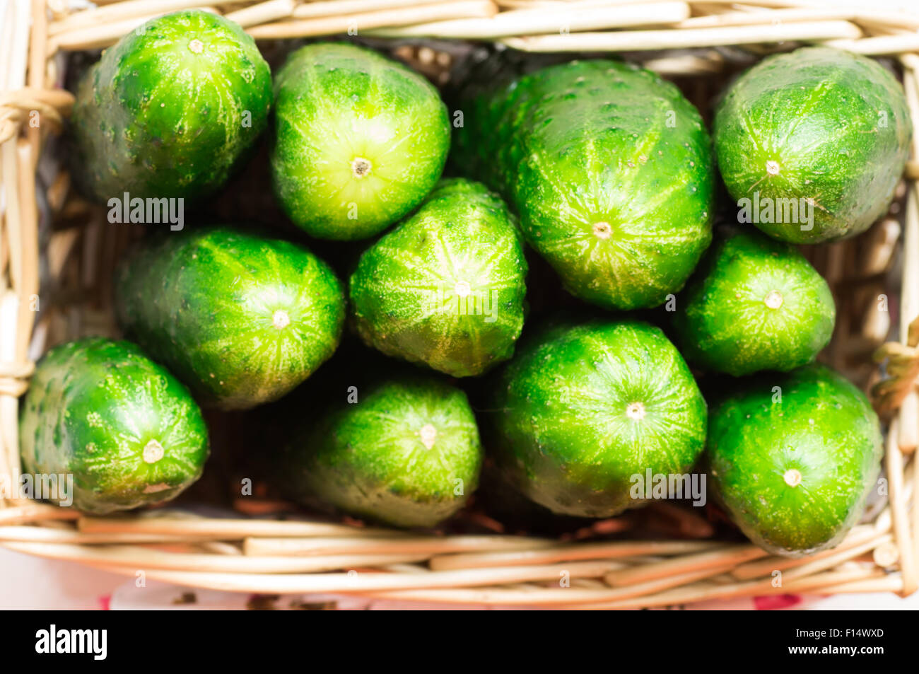 Fresh natural cucumbers from hi-res stock photography and images - Alamy