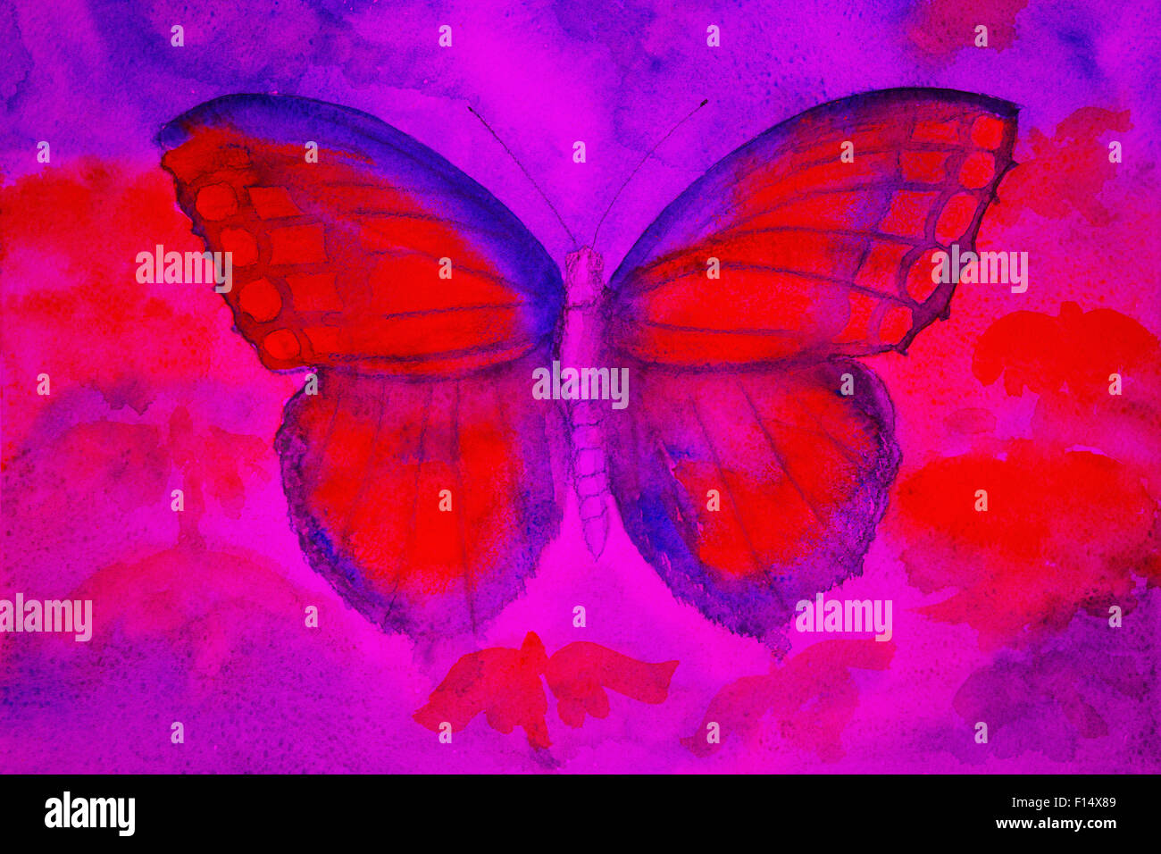 Butterfly in a strange colored world Stock Photo - Alamy