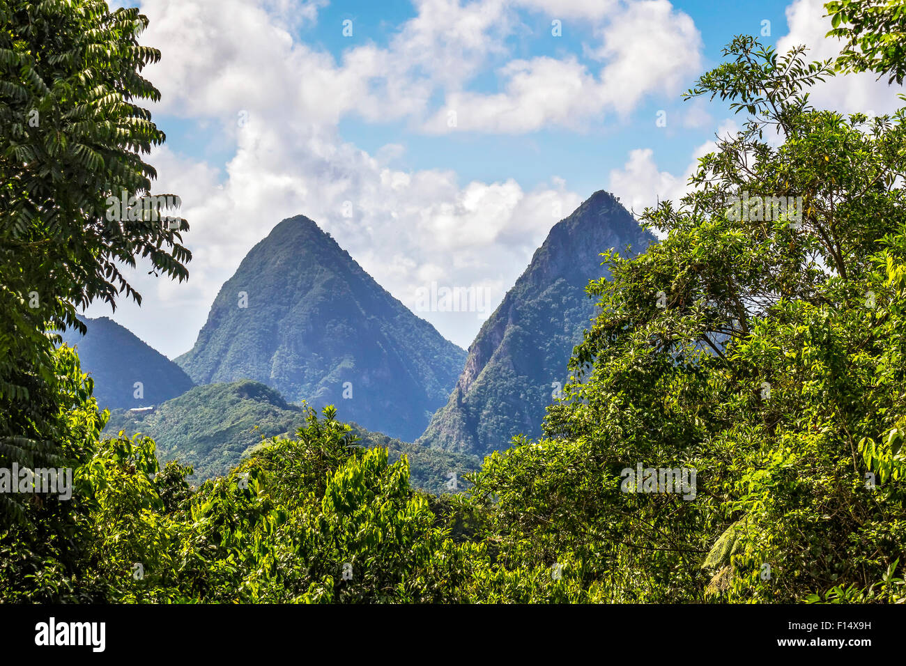 St lucia pitons hi-res stock photography and images - Alamy