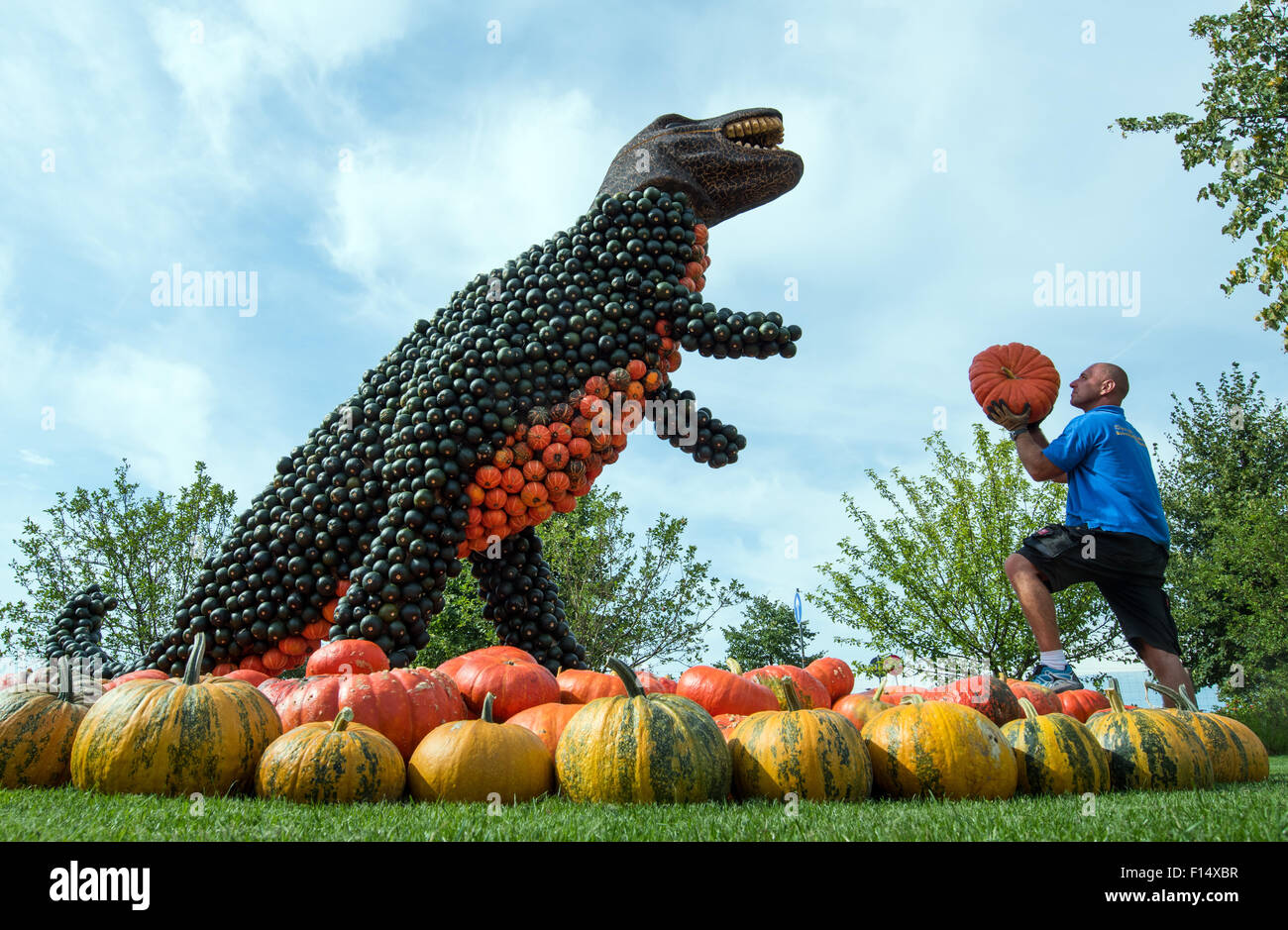 Robert Drozdowski of the farm Erlebnishof Buschmann und Winkelmann ...