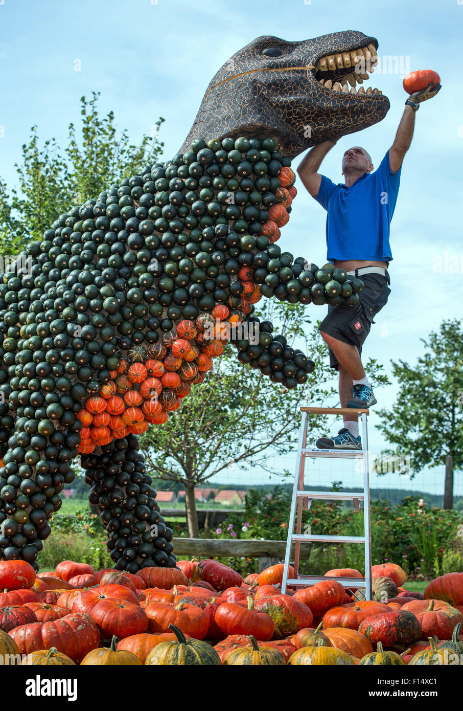 Robert Drozdowski of the farm Erlebnishof Buschmann und Winkelmann ...