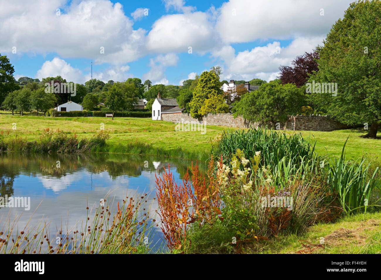 The duckpond in the village of Caldbeck, Lake District National Park ...