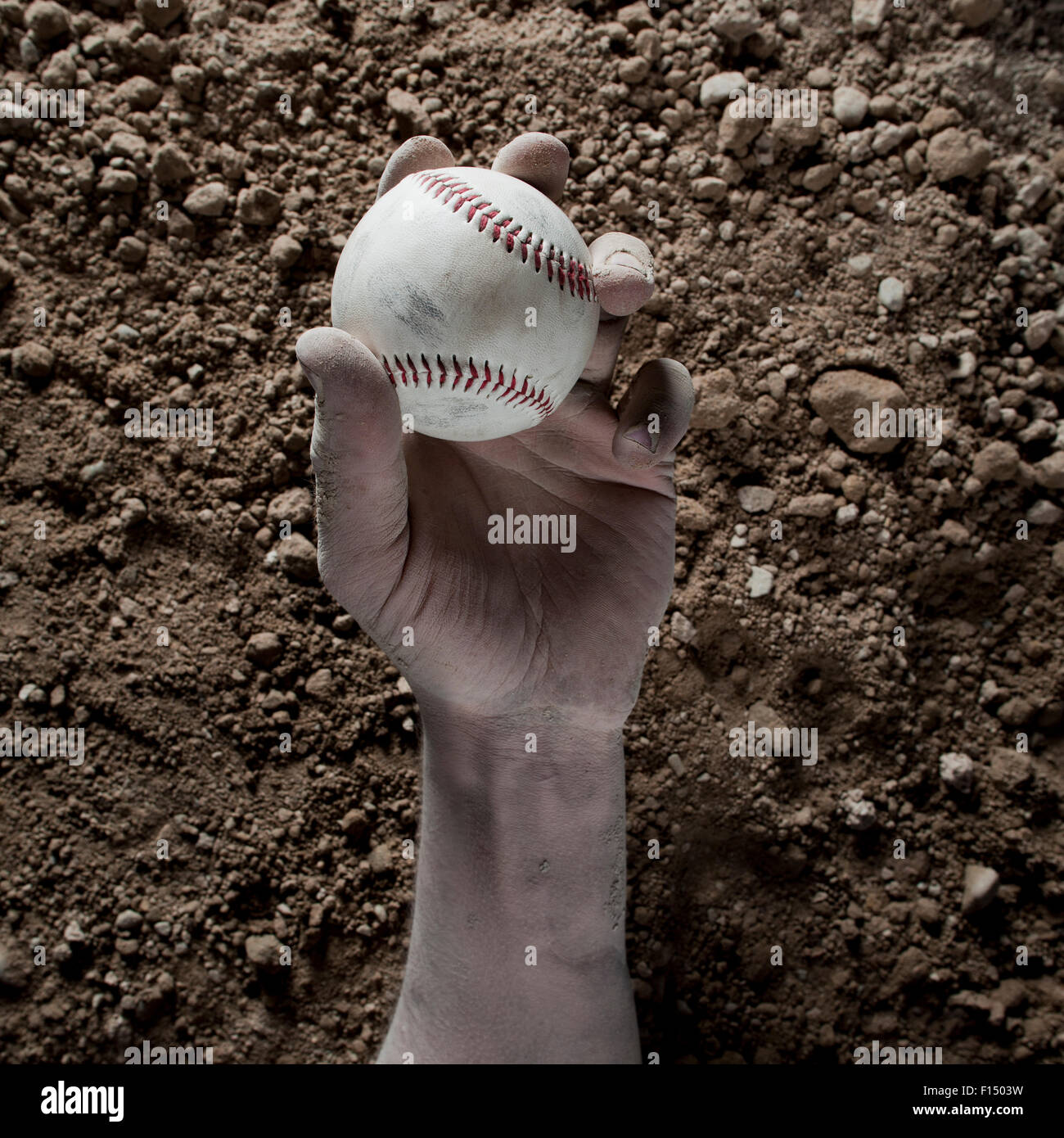 Studio close up of man's hand holding baseball Stock Photo - Alamy