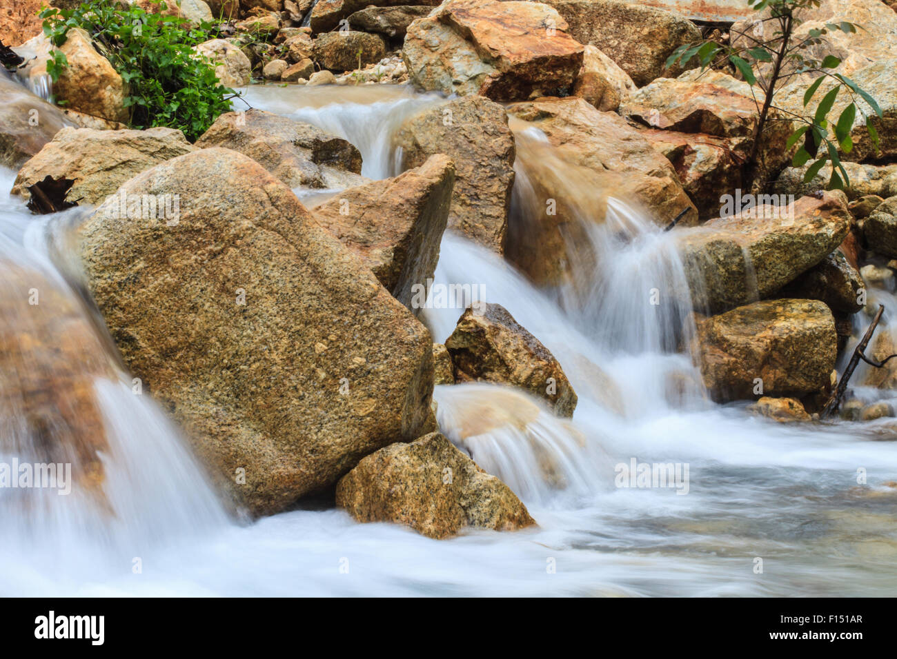 rainforest waterfall and rocks covered with moss Stock Photo - Alamy