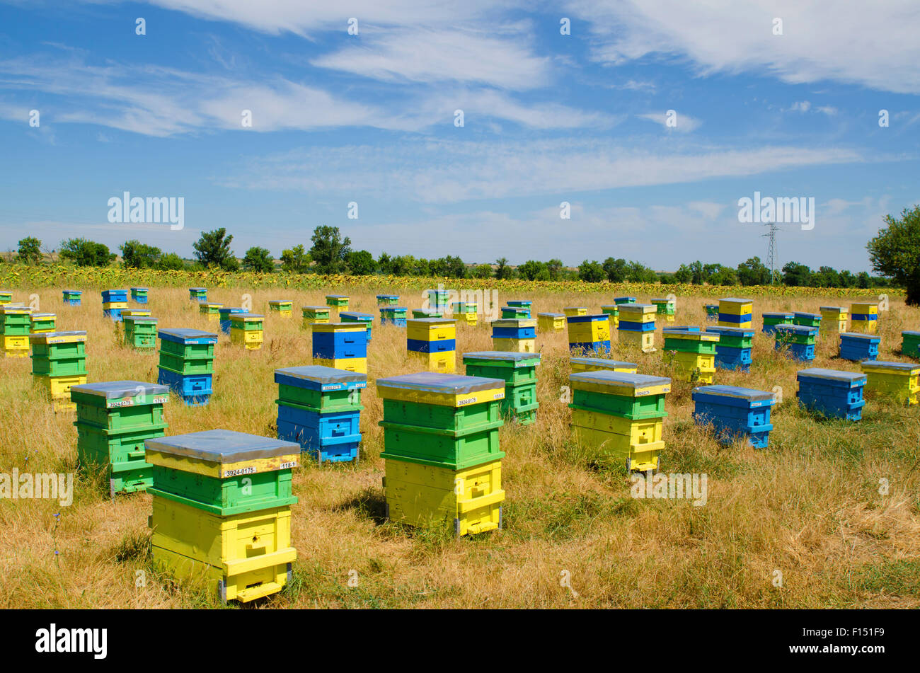 Beehives in a field Stock Photo - Alamy