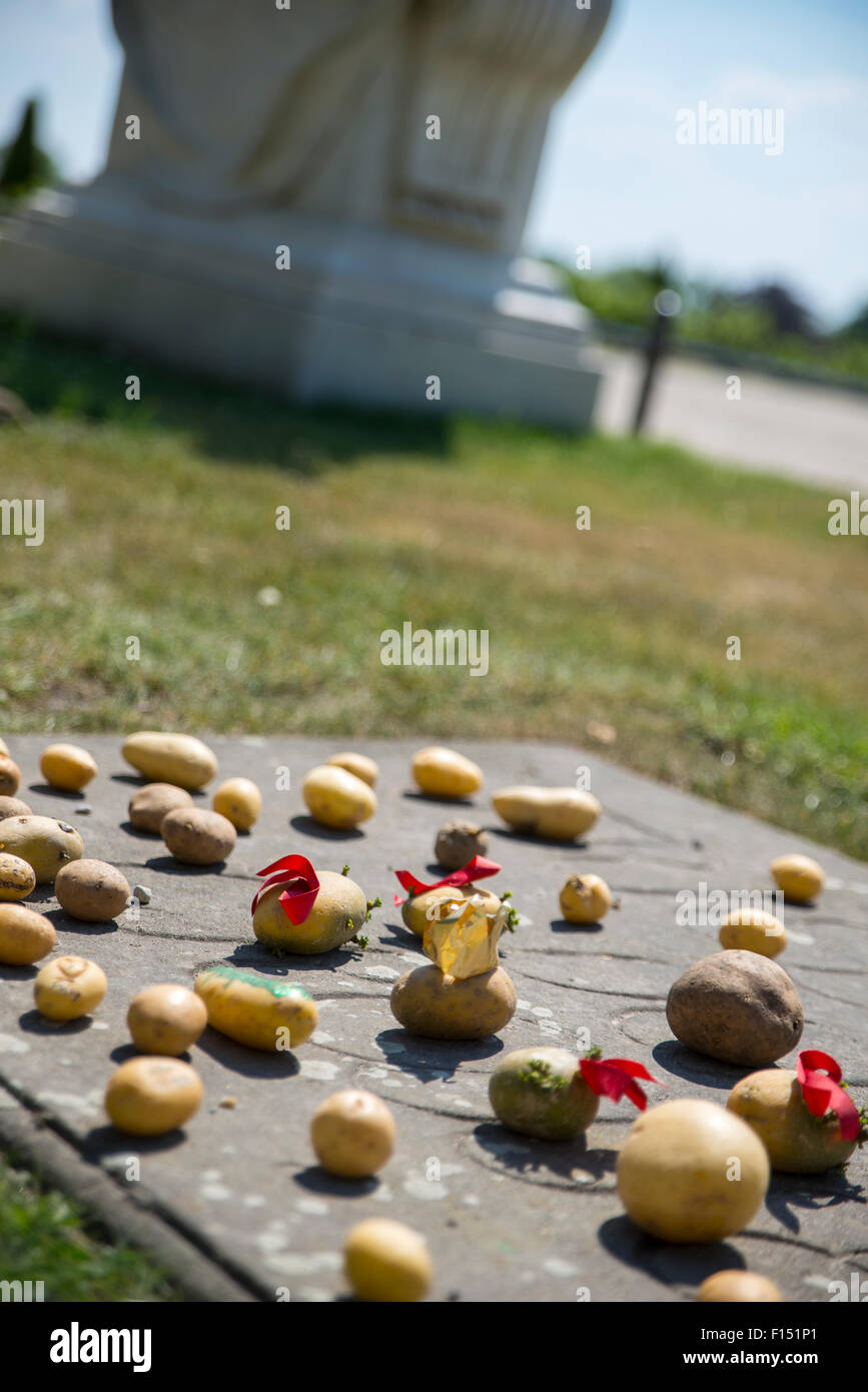 Frederick the great’s grave potatoes hi-res stock photography and ...