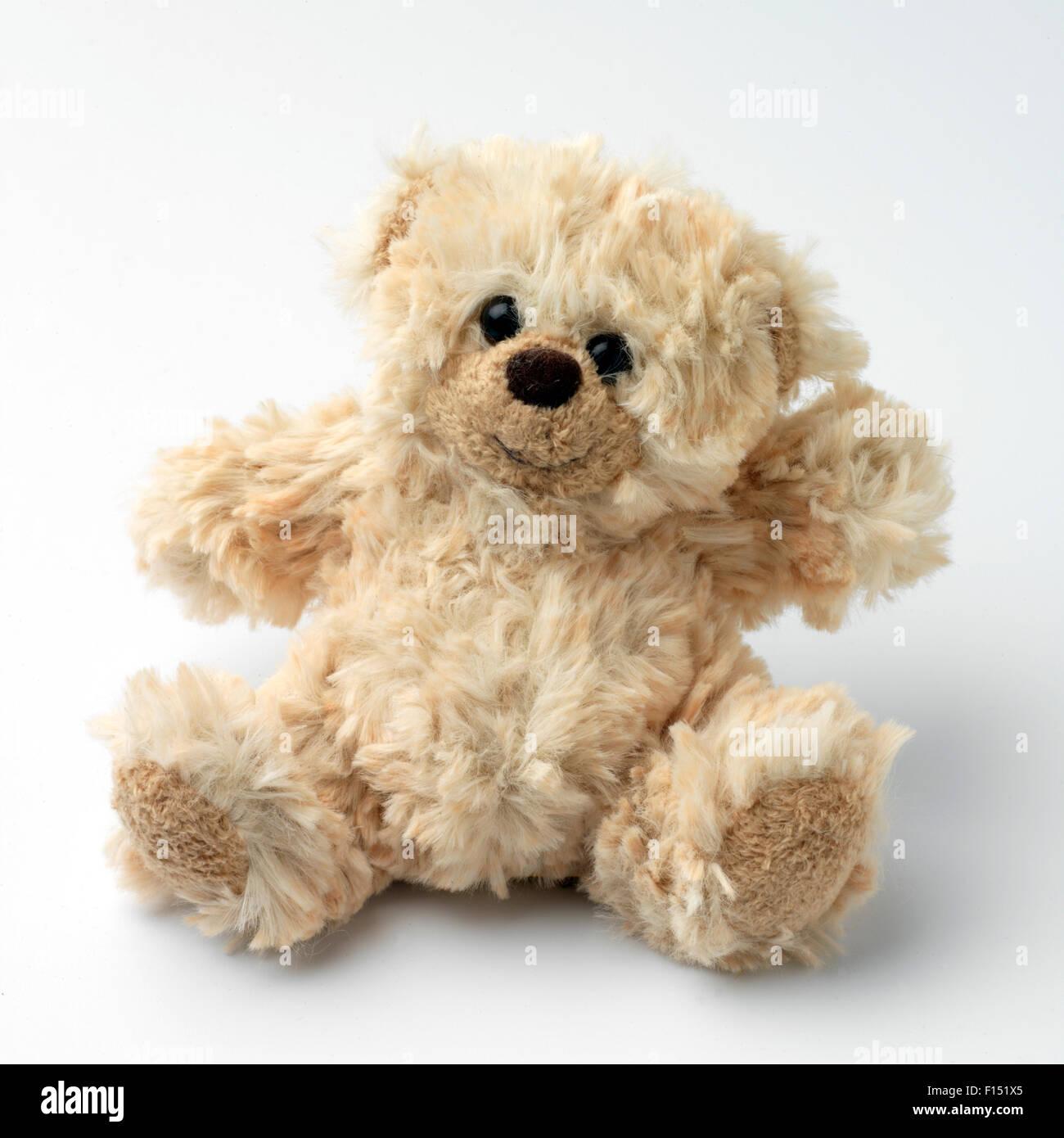 fluffy teddy bear, white background Stock Photo - Alamy