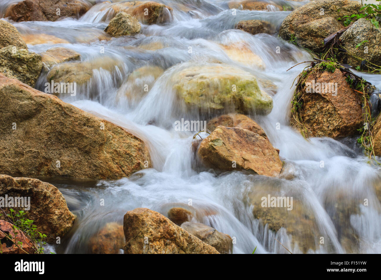 rainforest waterfall and rocks covered with moss Stock Photo - Alamy