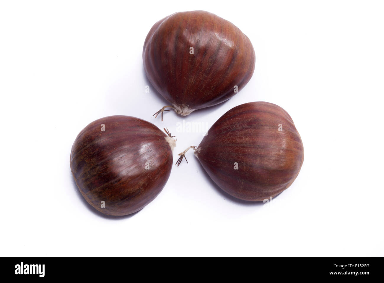 three chestnuts isolated on white background Stock Photo - Alamy